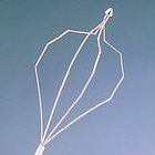 Mechanical Lithotriptors | EndoTherapy Devices | All Products ...